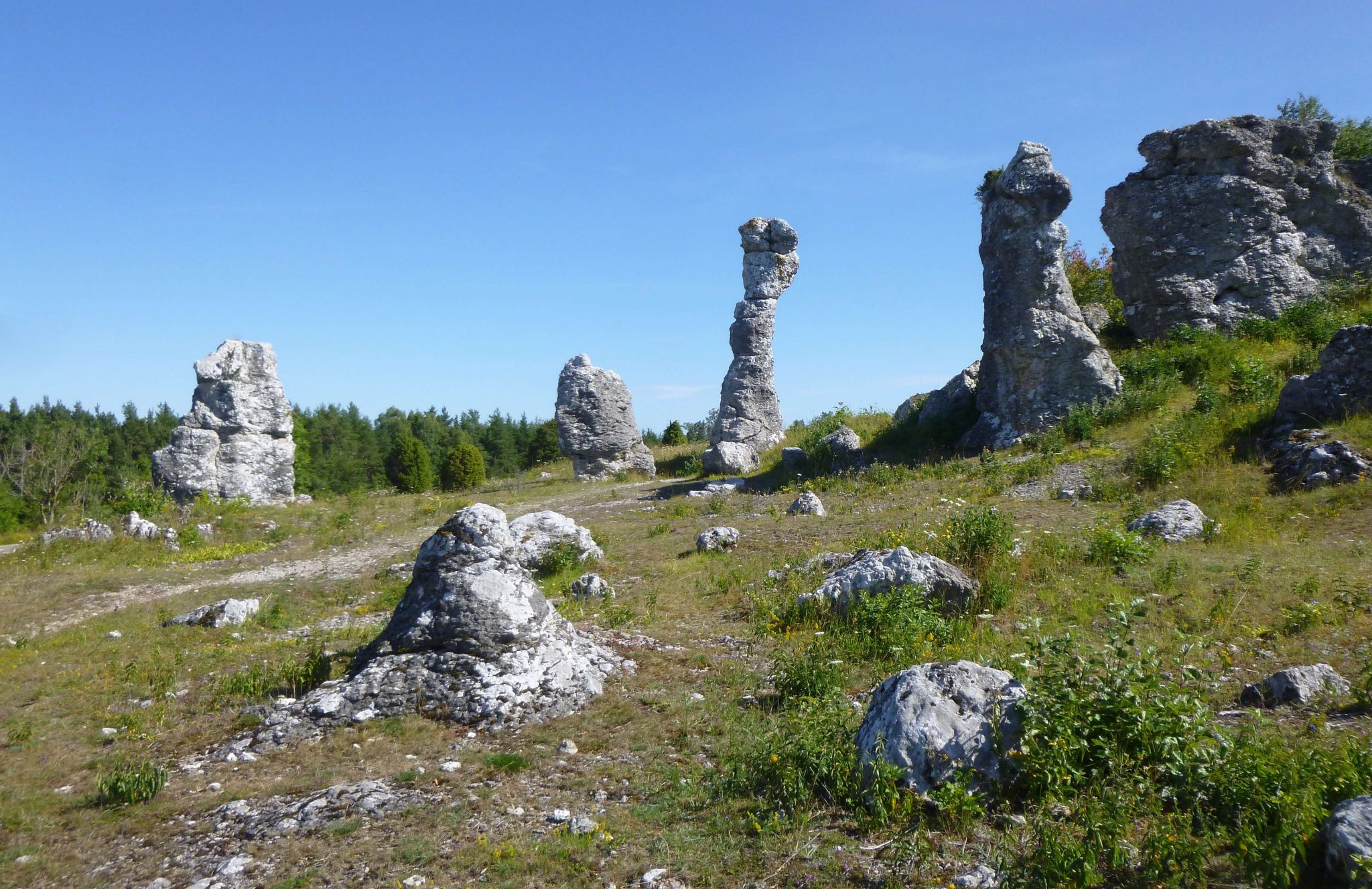 Destination: Gotland – Exploration Journal