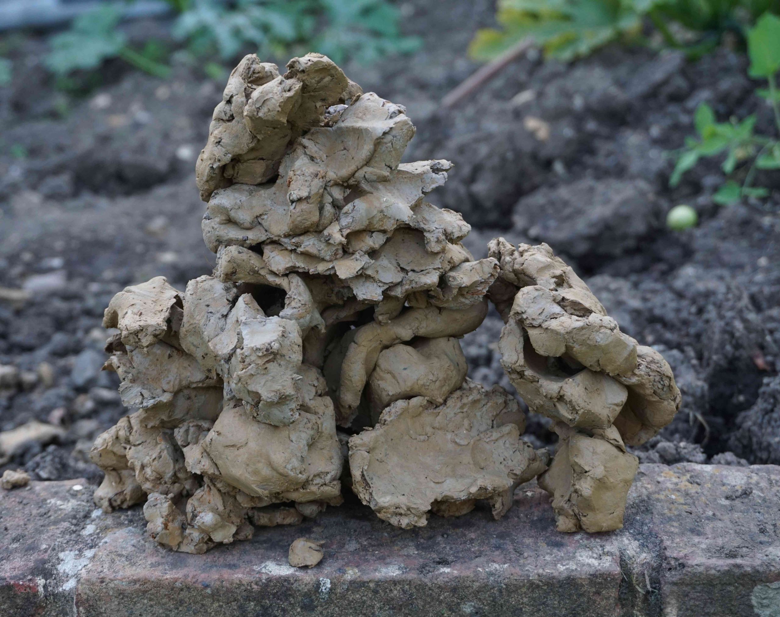 A second foray into clay modelling – Exploration Journal