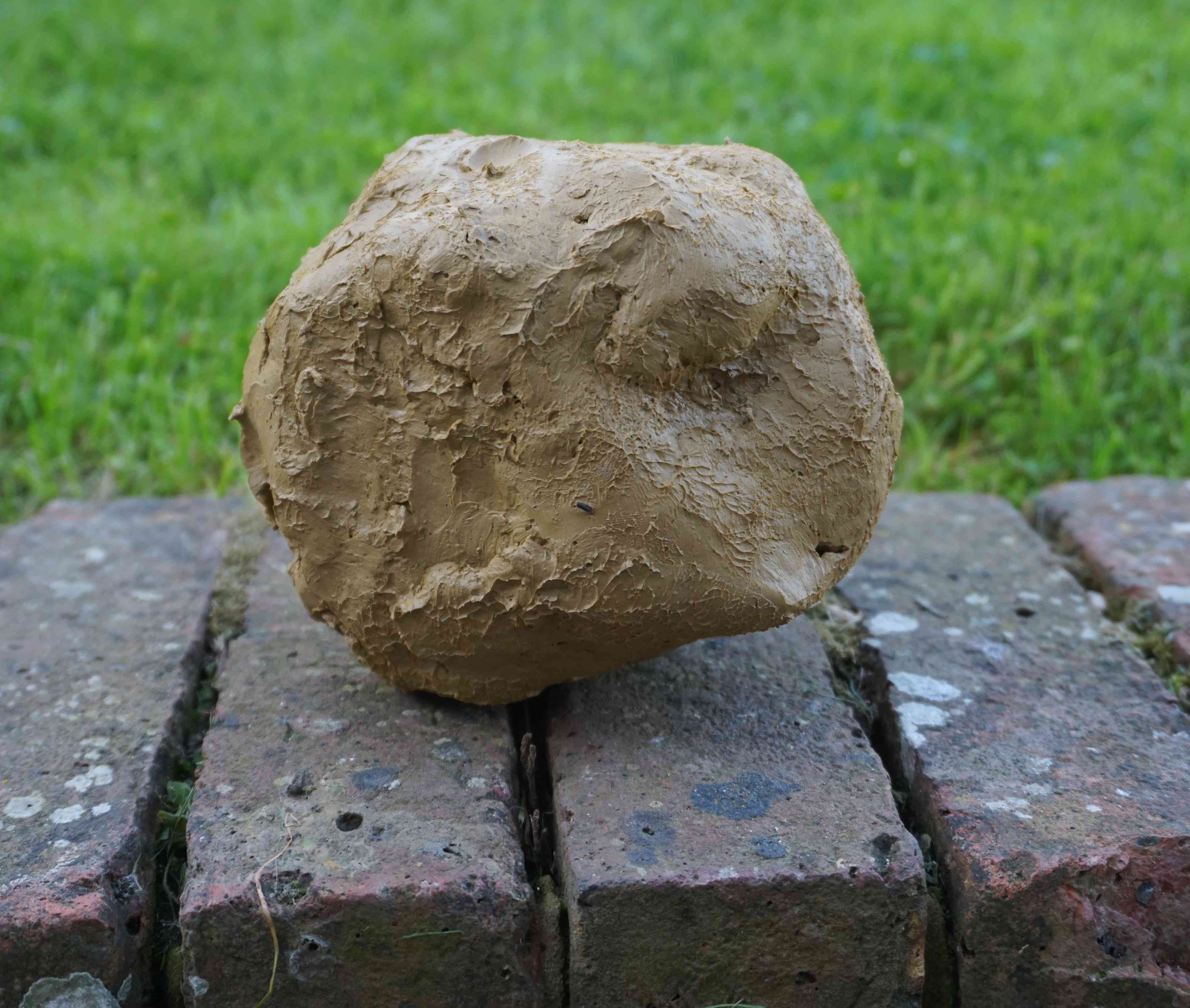 A second foray into clay modelling – Exploration Journal