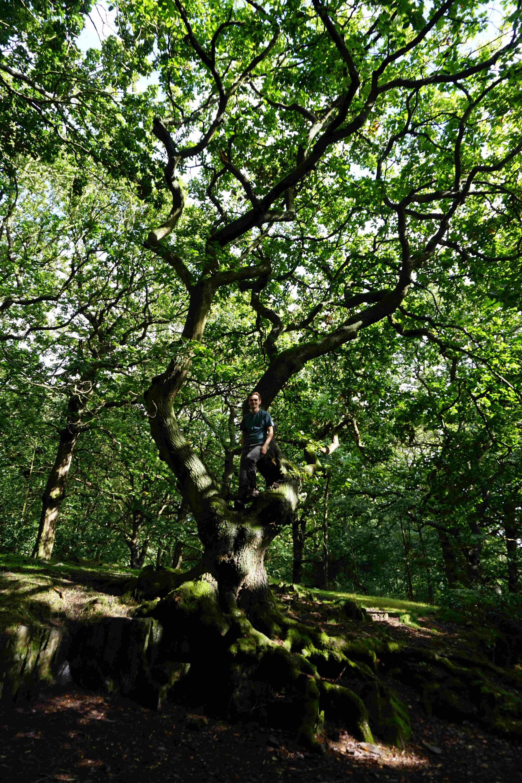 Nature Reserve Spotlight: Swithland Wood – Exploration Journal