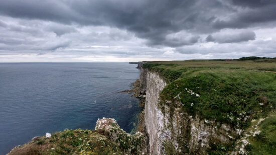 Nature Reserve Spotlight: Bempton Cliffs – Exploration Journal